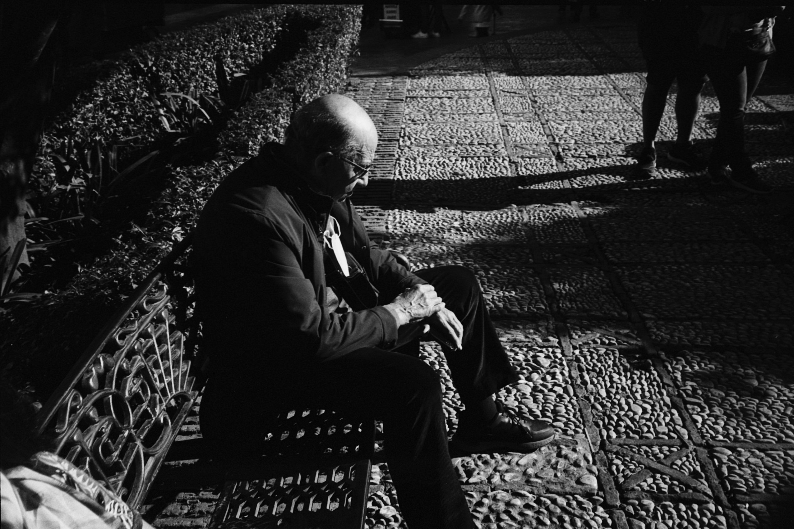 Ferrania Film P30: A Guide to Shooting with this Classic Film Stock ...